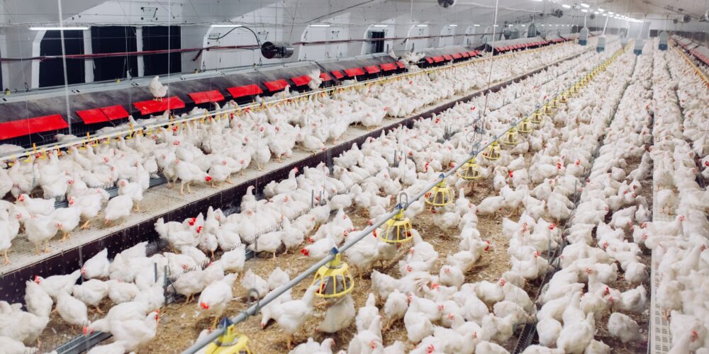 Greenwashing: Why Your Food Might Not Be As Healthy As You Think ...